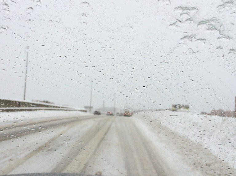 Snow Belt: On the Shores of Lake Erie in February | off the leash