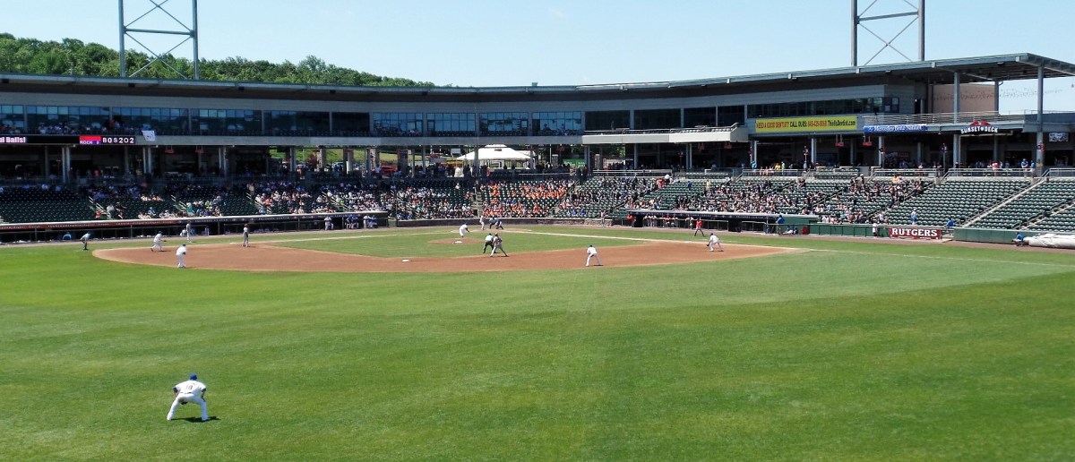 14 Reasons to Love Minor League Baseball | off the leash