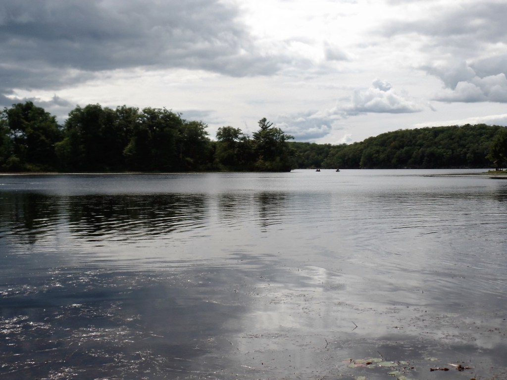 A Day at the Lake | off the leash