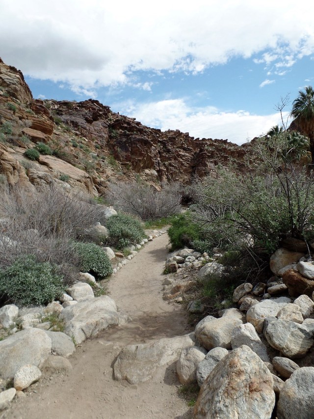 Indian Canyons, a Palm Springs Oasis | off the leash