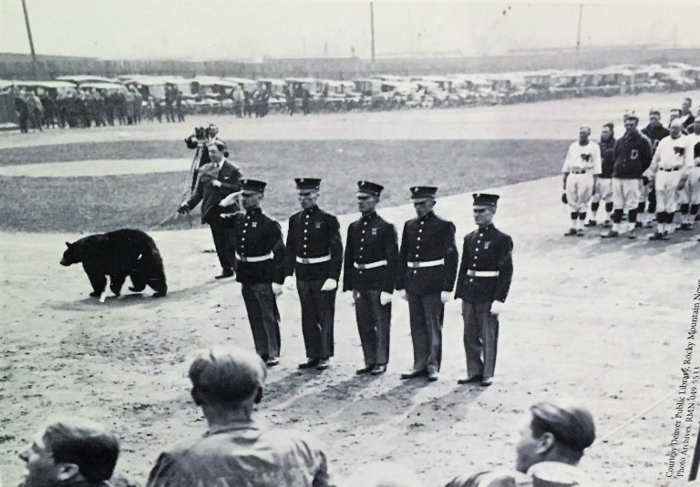 A Few Curious Bits of Baseball History | off the leash