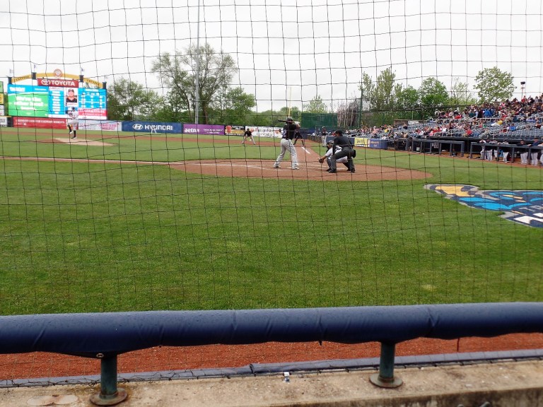 14 Reasons to Love Minor League Baseball | off the leash