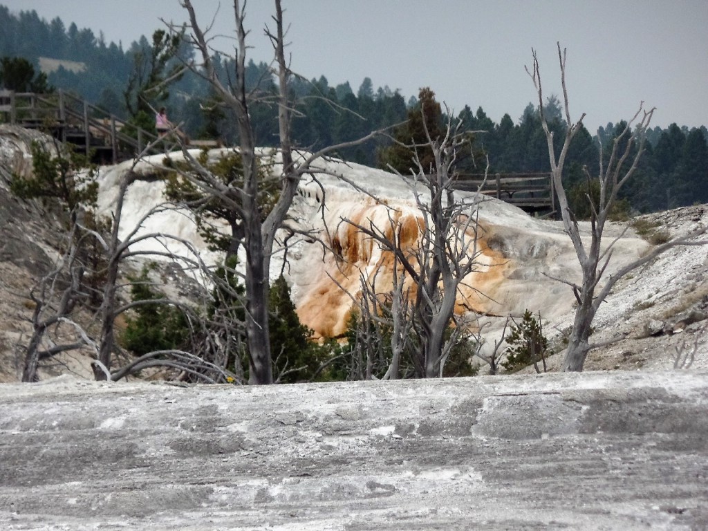 In the National Parks: Gurgling, Spewing, Oozing | off the leash
