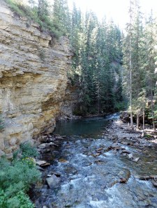 Along the Way to Ousel Falls | off the leash