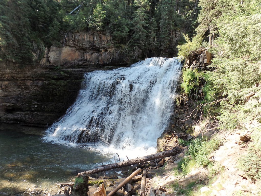 Along the Way to Ousel Falls | off the leash
