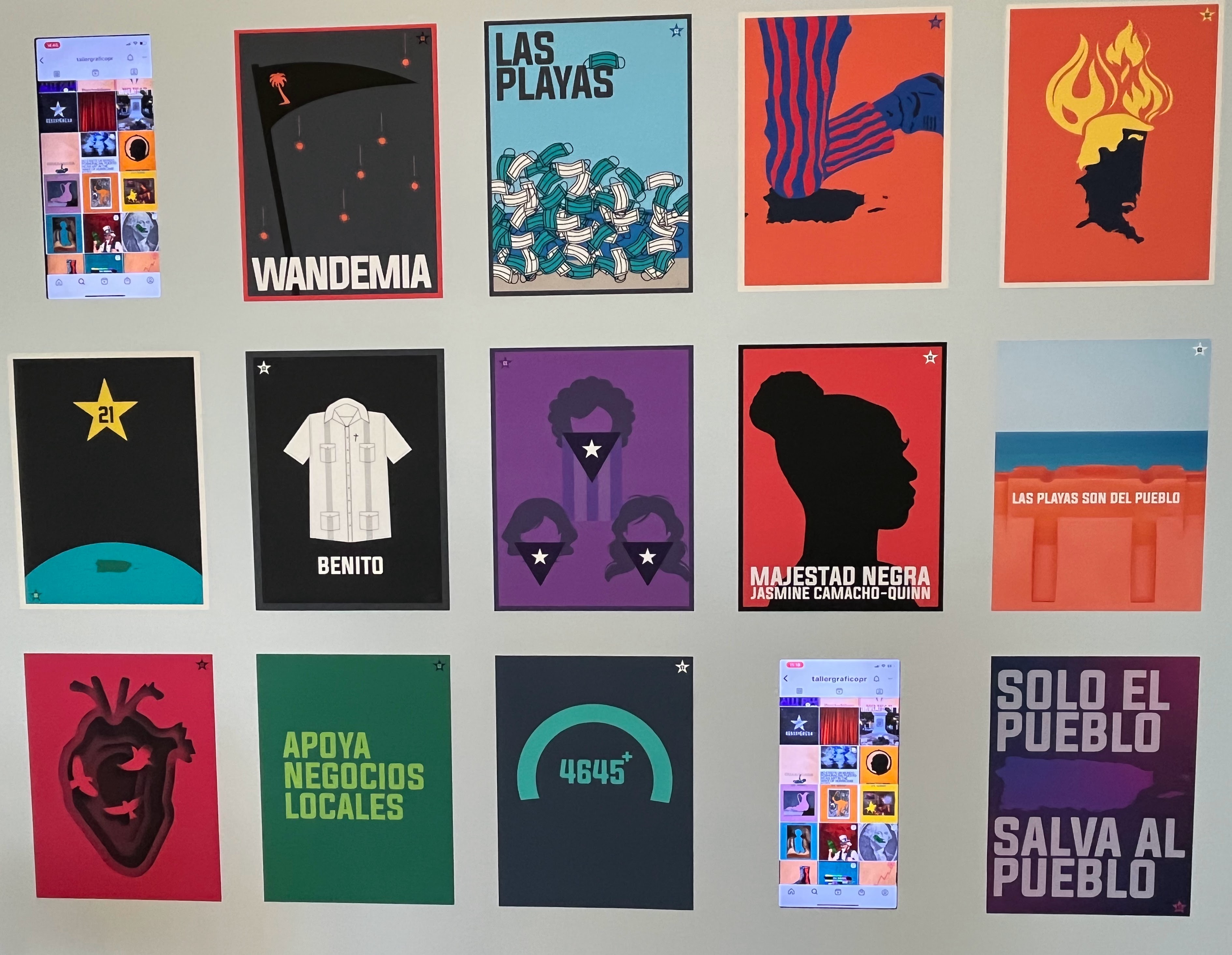 After the Hurricane | off the leash